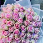 Palesa Bloosomed – Fresh Flowers for Every Occasion